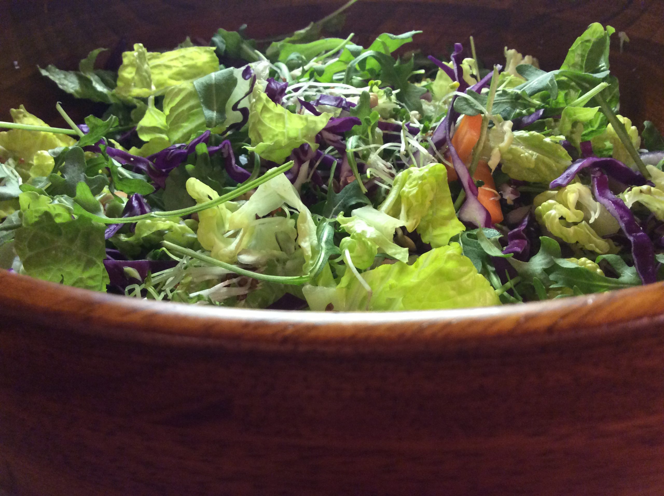 `TODAY’S FARE | Good Natured Collective | TODAY’S FARE